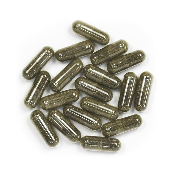 Gynostemma Capsules (Jiaogulan Capsules) – Immortalitea